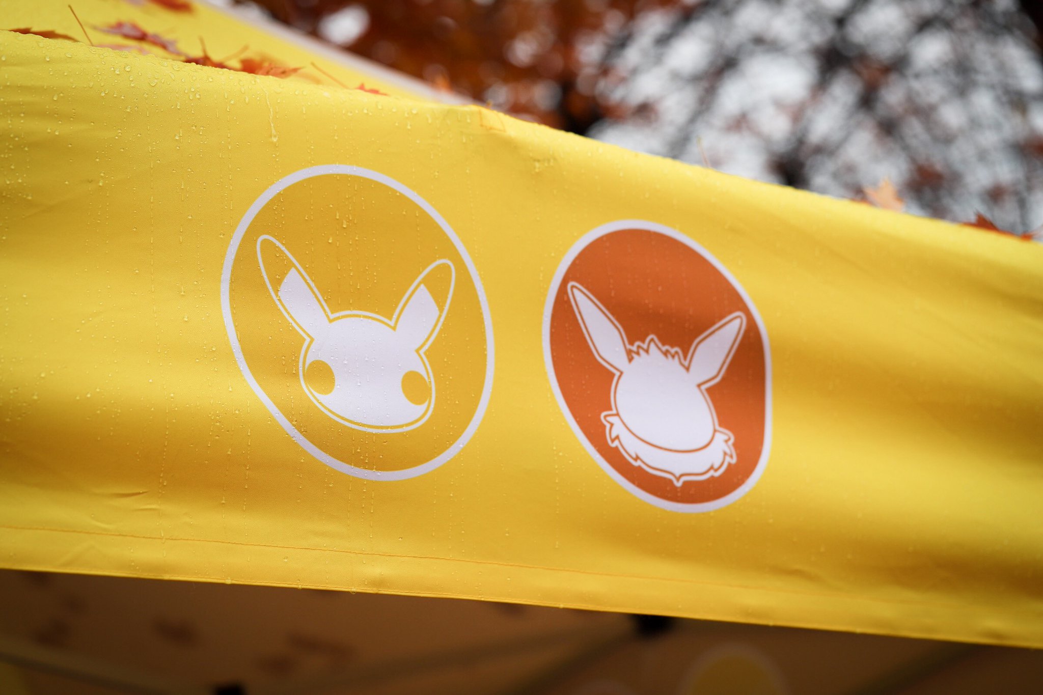 Pokémon Let's Go Road Trip's journey in Boston - NintendObserver